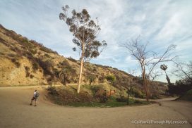 Runyon Canyon: Hollywood's Most Popular Hike - California Through My Lens