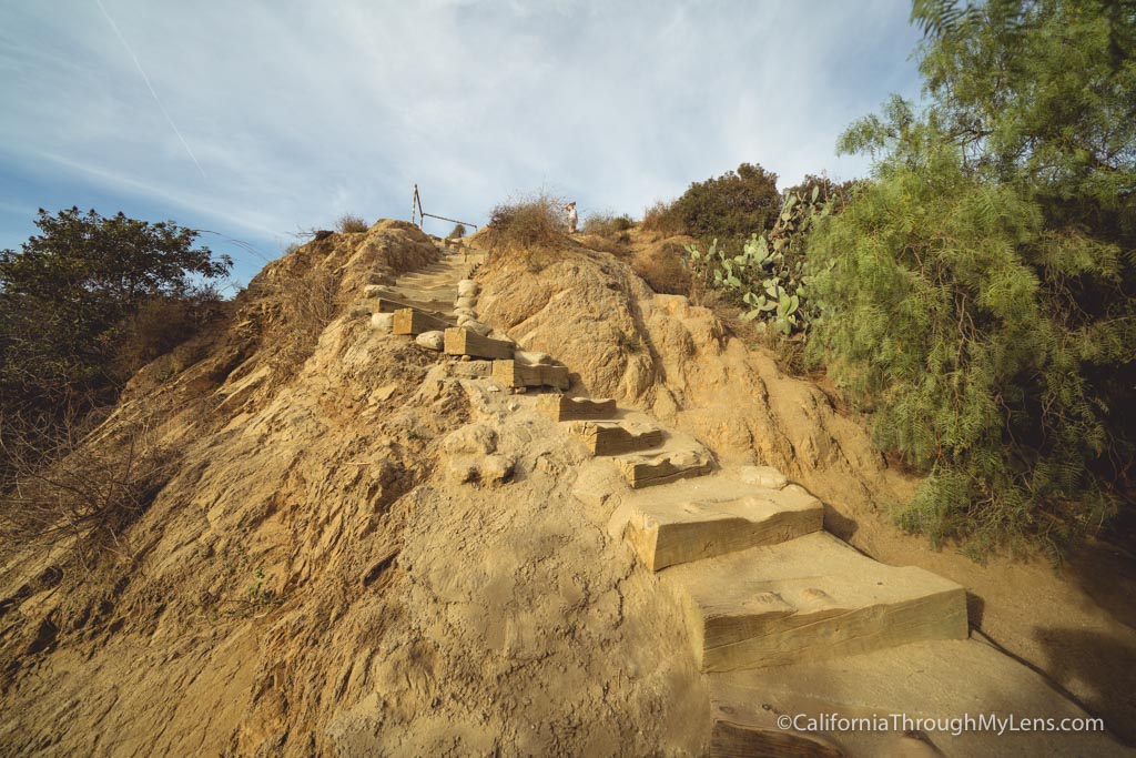 Runyon Canyon: Hollywood's Most Popular Hike - California Through My Lens