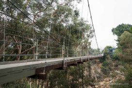 Spruce Street Suspension Bridge: Historic Footbridge in San Diego ...