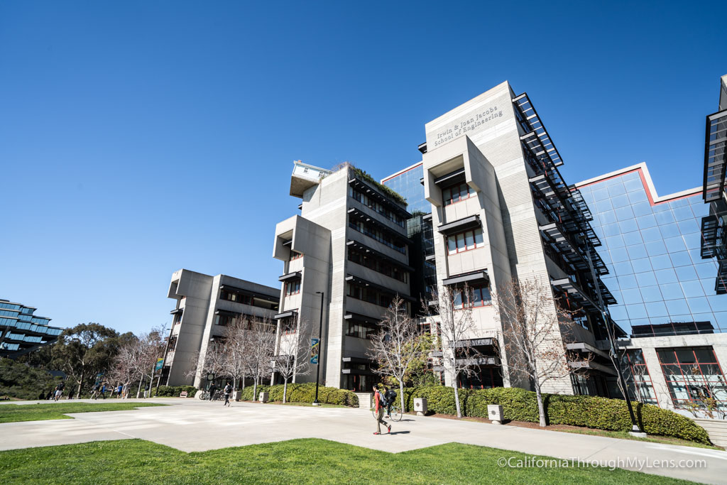 UCSD Stuart Art Collection: Exploring the Giesell Library, Fallen Star ...