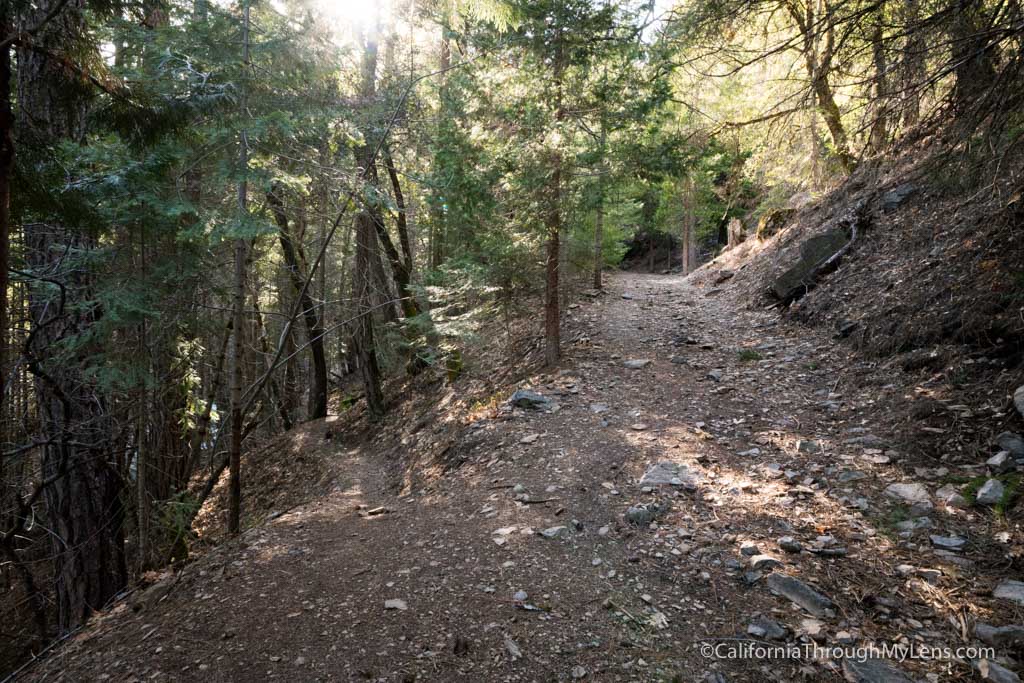 Faery Falls: An Awesome Waterfall Hike in Mt. Shasta - California ...