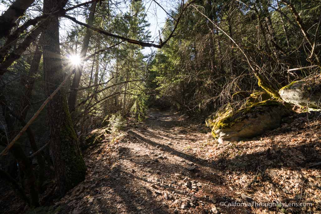 Faery Falls: An Awesome Waterfall Hike in Mt. Shasta - California ...