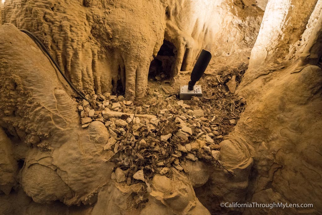 Mitchell Caverns Tour in Mojave National Preserve - California Through ...
