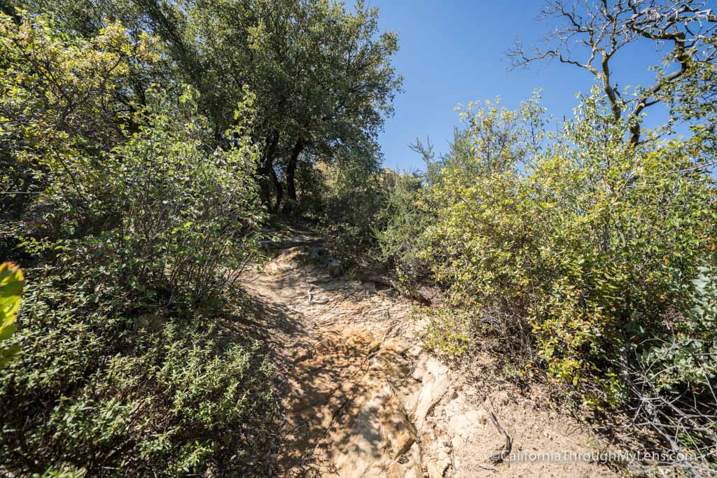 Lizard Mouth Rock: A Fun, Short Hike in Santa Barbara - California ...