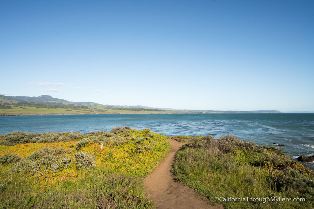 San Simeon Point Trail on the Central CA Coast - California Through My Lens