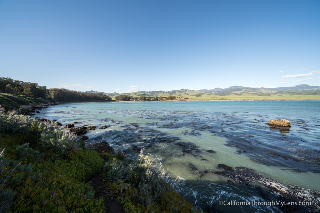 San Simeon Point Trail on the Central CA Coast - California Through My Lens