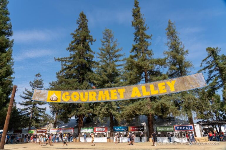 Gilroy Garlic Festival: What to do at California's Garlic Extravaganza ...
