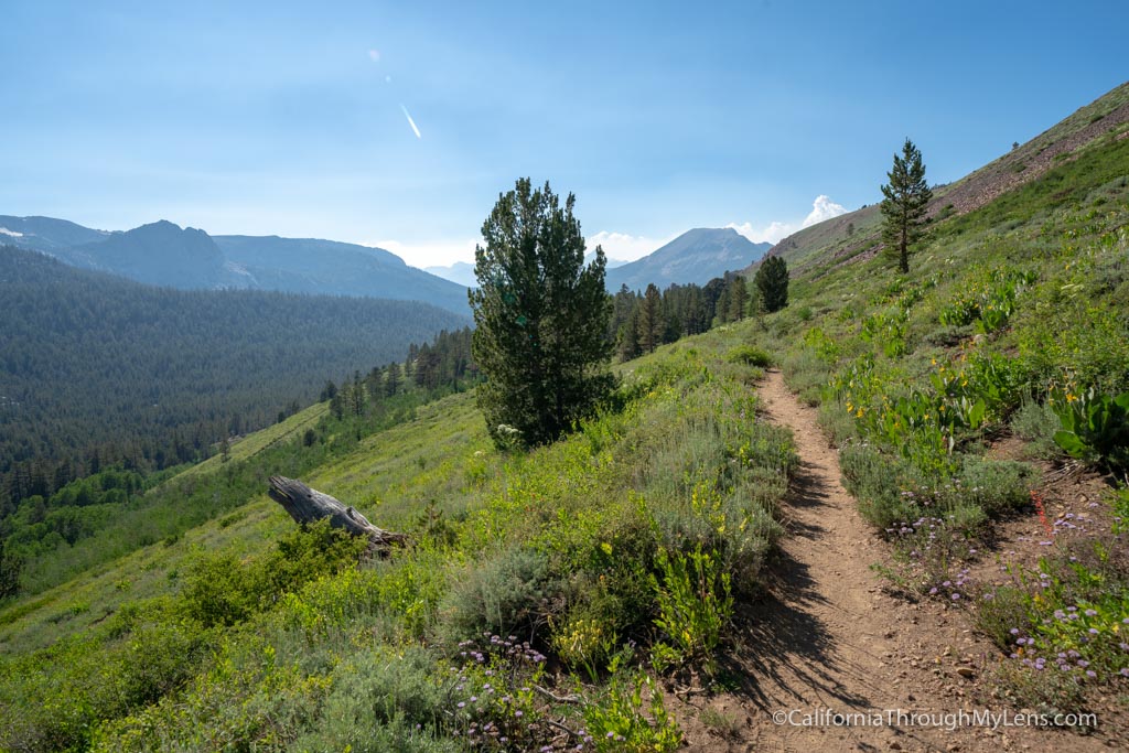 Heart Lake Trail in Mammoth Lakes - California Through My Lens