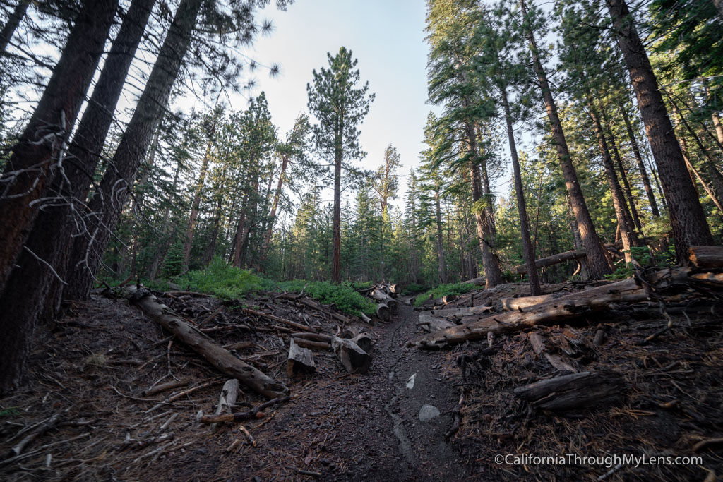 Inyo Craters Hike in Mammoth Lakes - California Through My Lens