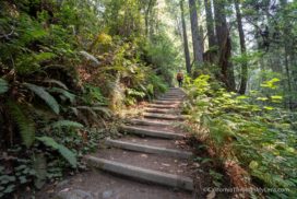 Russian River Gulch State Park Waterfall Trail - California Through My Lens