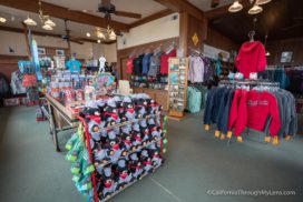 Riding the Skunk Train and Visiting the Model Train Museum in Fort ...