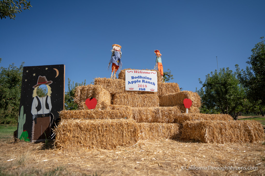 Apple Hill: Four Spots to Visit in the Fall - California Through My Lens