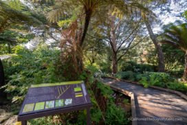 Golden Gate Park: Explore of the Best Spots in San Francisco's Famous ...