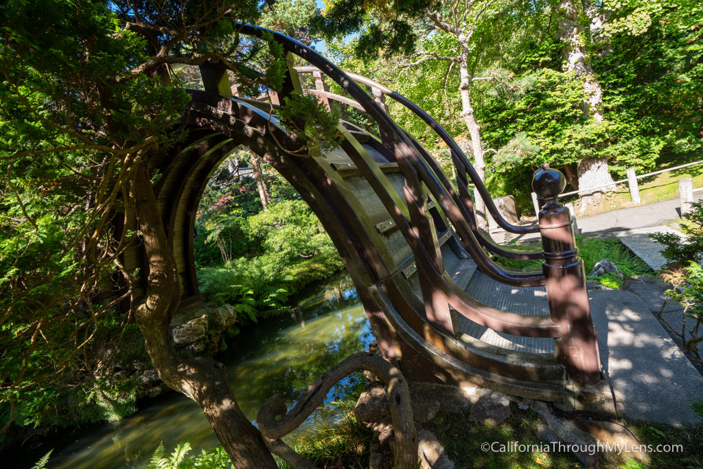 Golden Gate Park: Explore of the Best Spots in San Francisco's Famous ...