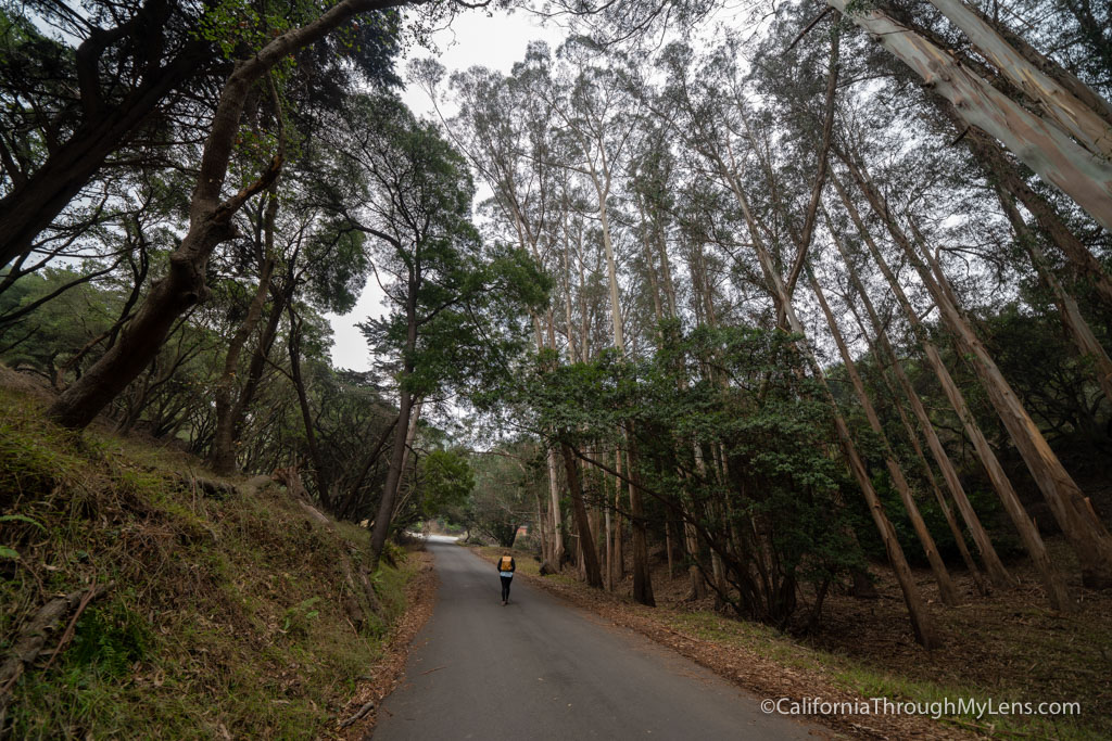 Angel Island State Park: Hiking the Perimeter Trail - California ...