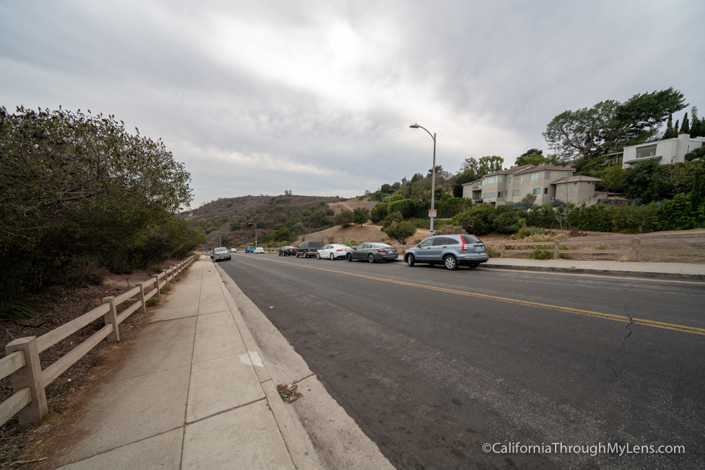 Hiking to the Wisdom Tree and Hollywood Sign - California Through My Lens
