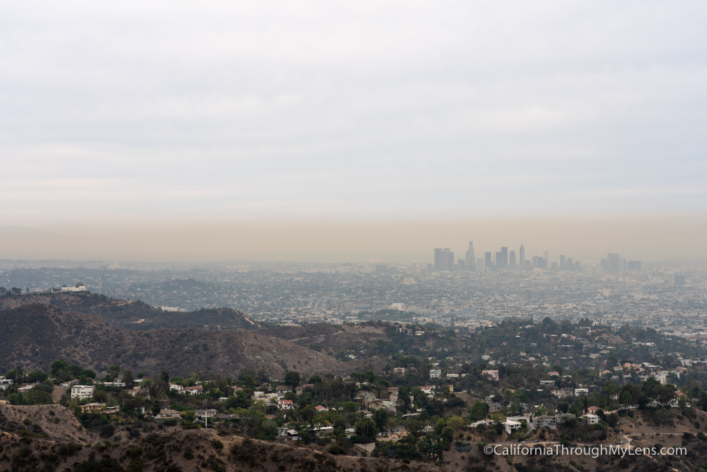 Hiking to the Wisdom Tree and Hollywood Sign - California Through My Lens
