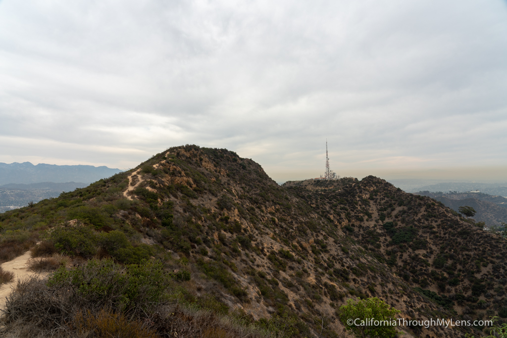 Hiking to the Wisdom Tree and Hollywood Sign - California Through My Lens