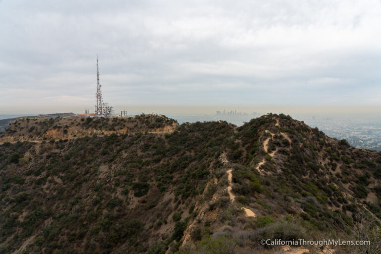 Hiking to the Wisdom Tree and Hollywood Sign - California Through My Lens