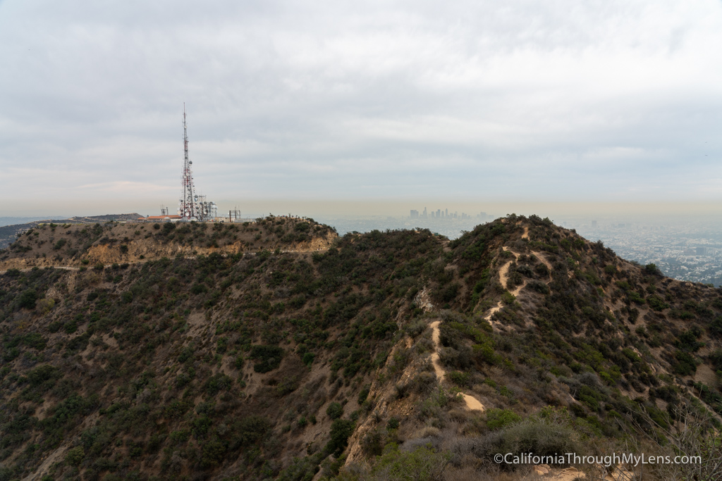 Hiking to the Wisdom Tree and Hollywood Sign - California Through My Lens