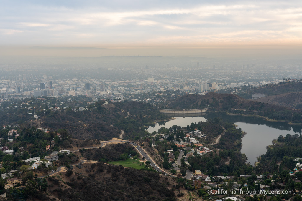Hiking to the Wisdom Tree and Hollywood Sign - California Through My Lens