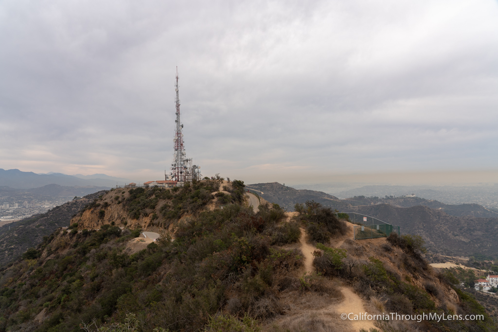 Hiking to the Wisdom Tree and Hollywood Sign - California Through My Lens