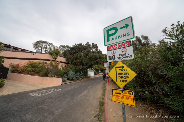 Hiking to the Wisdom Tree and Hollywood Sign - California Through My Lens