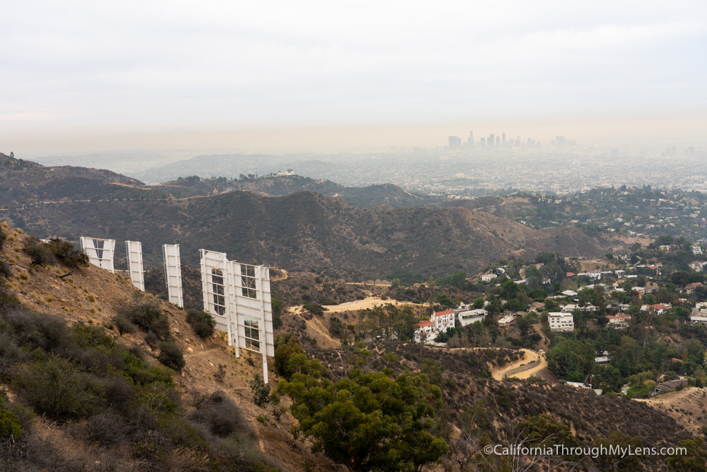 Hiking to the Wisdom Tree and Hollywood Sign - California Through My Lens