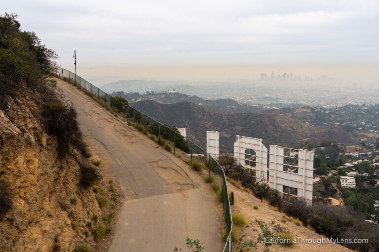 Hiking to the Wisdom Tree and Hollywood Sign - California Through My Lens