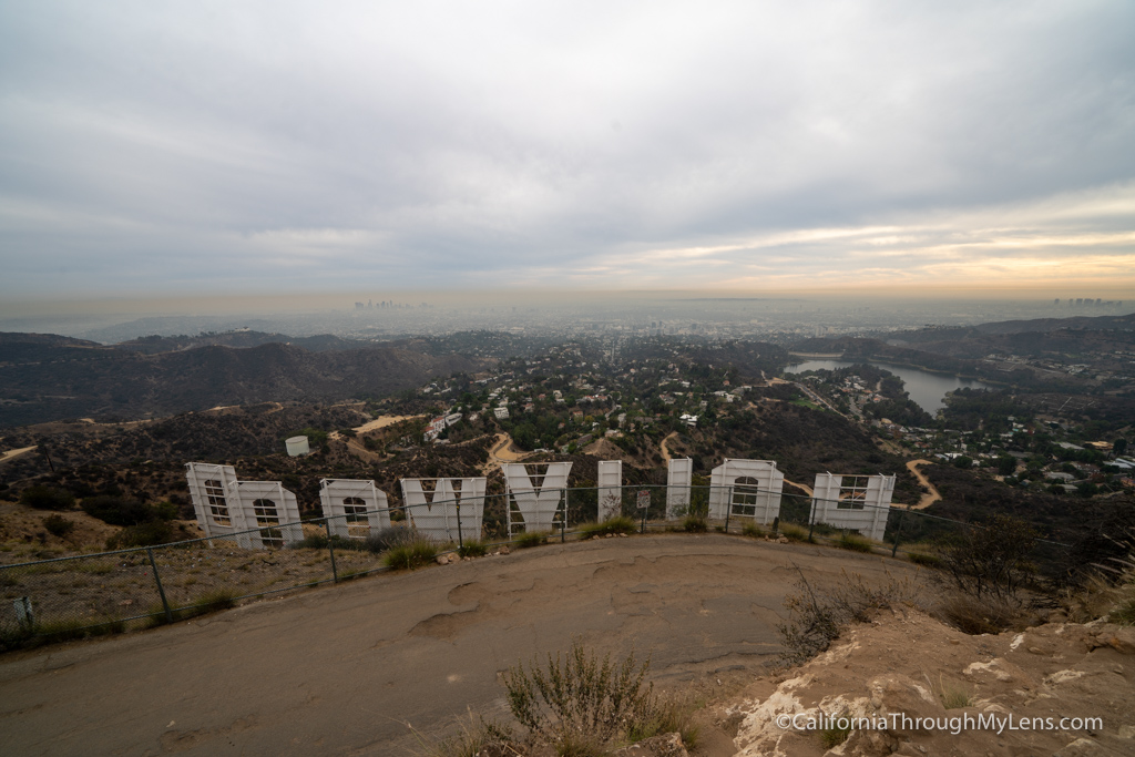 Hiking to the Wisdom Tree and Hollywood Sign - California Through My Lens