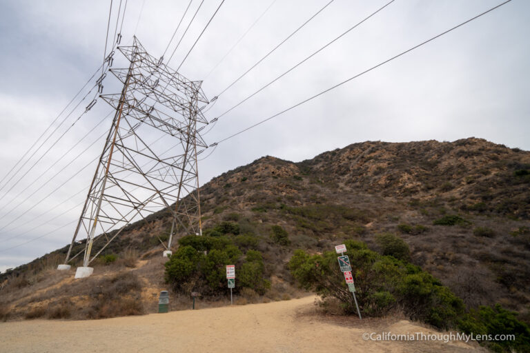 Hiking to the Wisdom Tree and Hollywood Sign - California Through My Lens