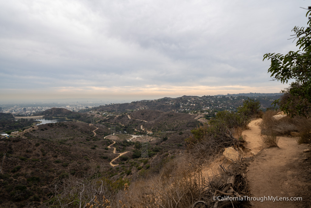Hiking to the Wisdom Tree and Hollywood Sign - California Through My Lens