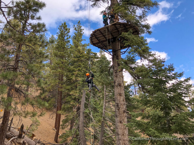 Ziplines at Pacific Crest: Southern California's Premier Zipline Tour ...