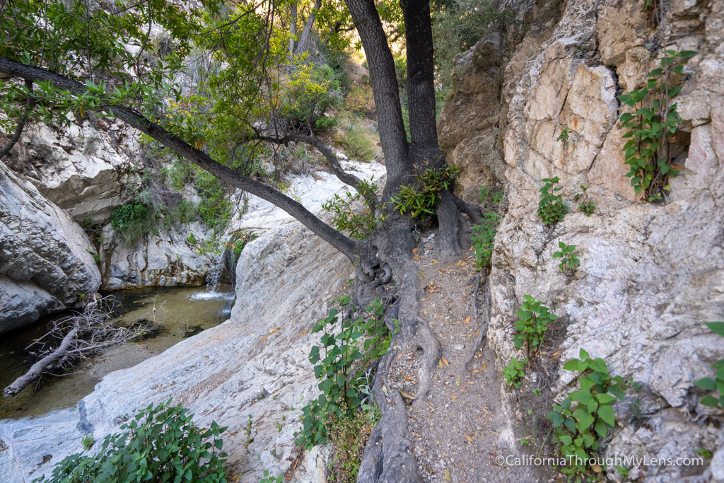 Switzer Falls Hike in Angeles National Forest - California Through My Lens