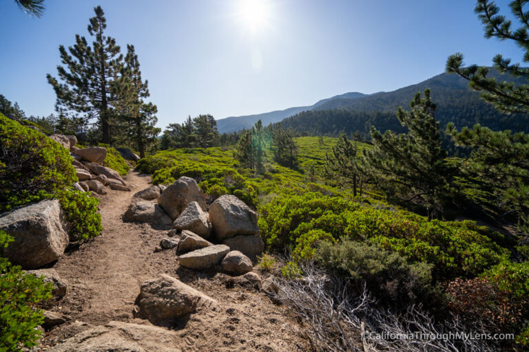 Hiking San Bernardino Peak Trail in Southern California - California ...