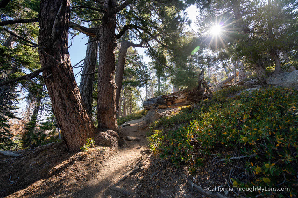 Hiking San Bernardino Peak Trail in Southern California - California ...