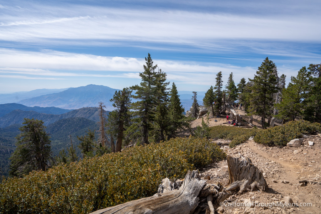 Hiking San Gorgonio Peak: Tallest Mountain in Southern California ...