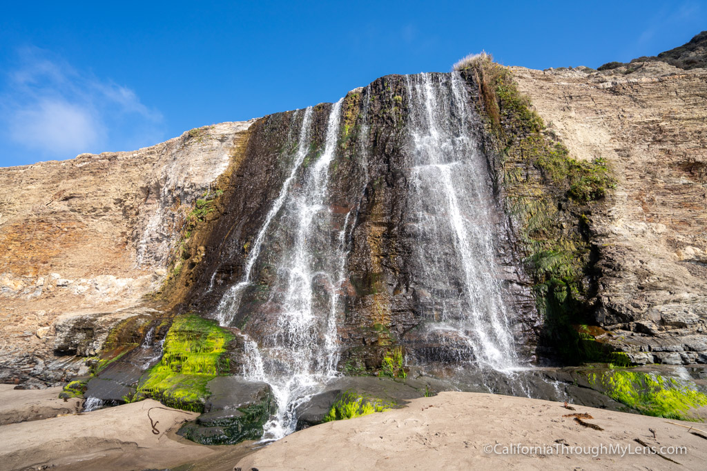 Alamere Falls Hike in Point Reyes National Seashore - California ...