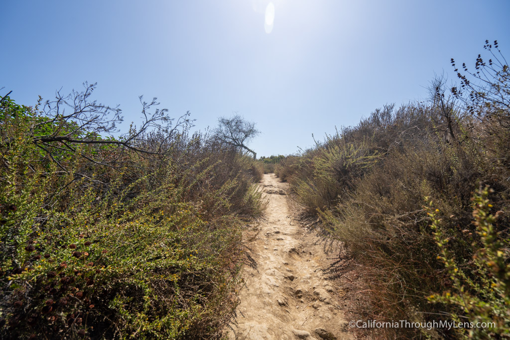 Temescal Canyon Trail in Pacific Palisades - California Through My Lens