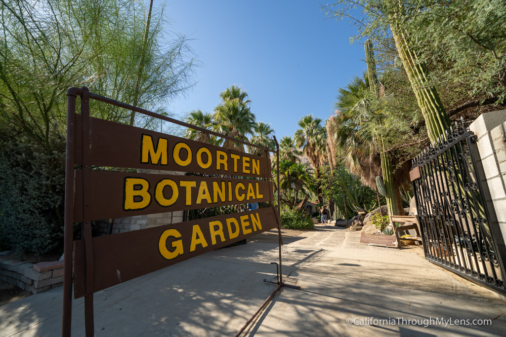 Moorten Botanical Garden: A Beautiful Desert Garden in Palm Springs ...