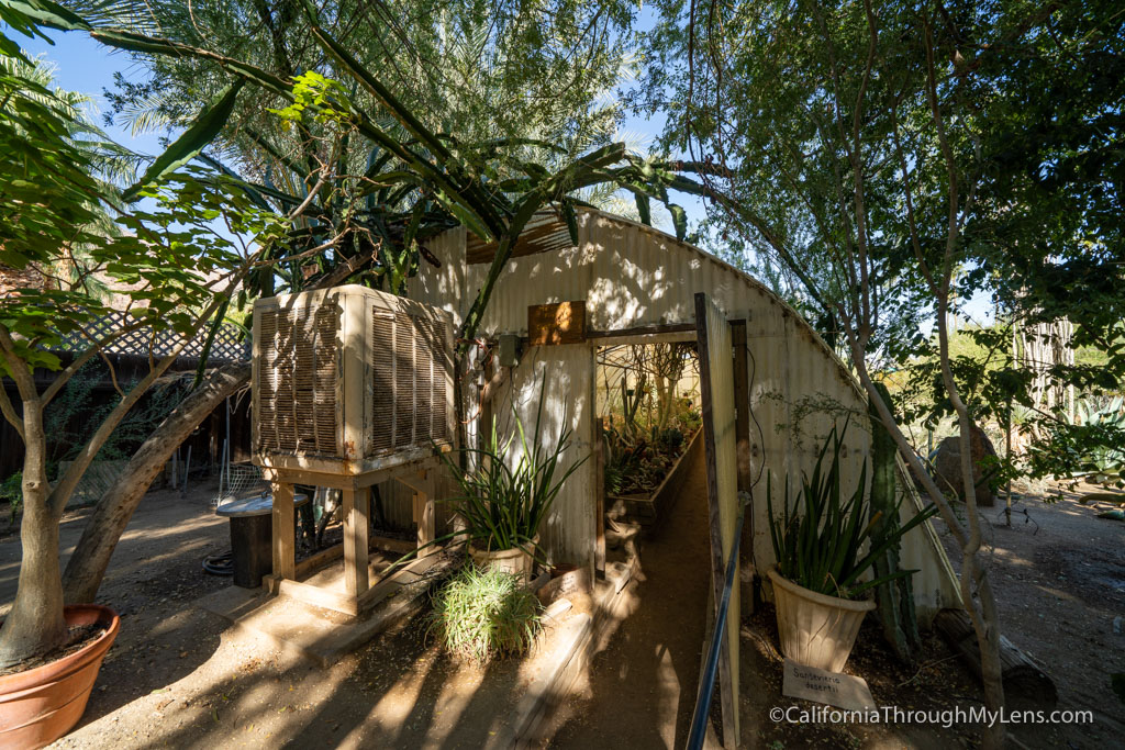 Moorten Botanical Garden: A Beautiful Desert Garden in Palm Springs ...