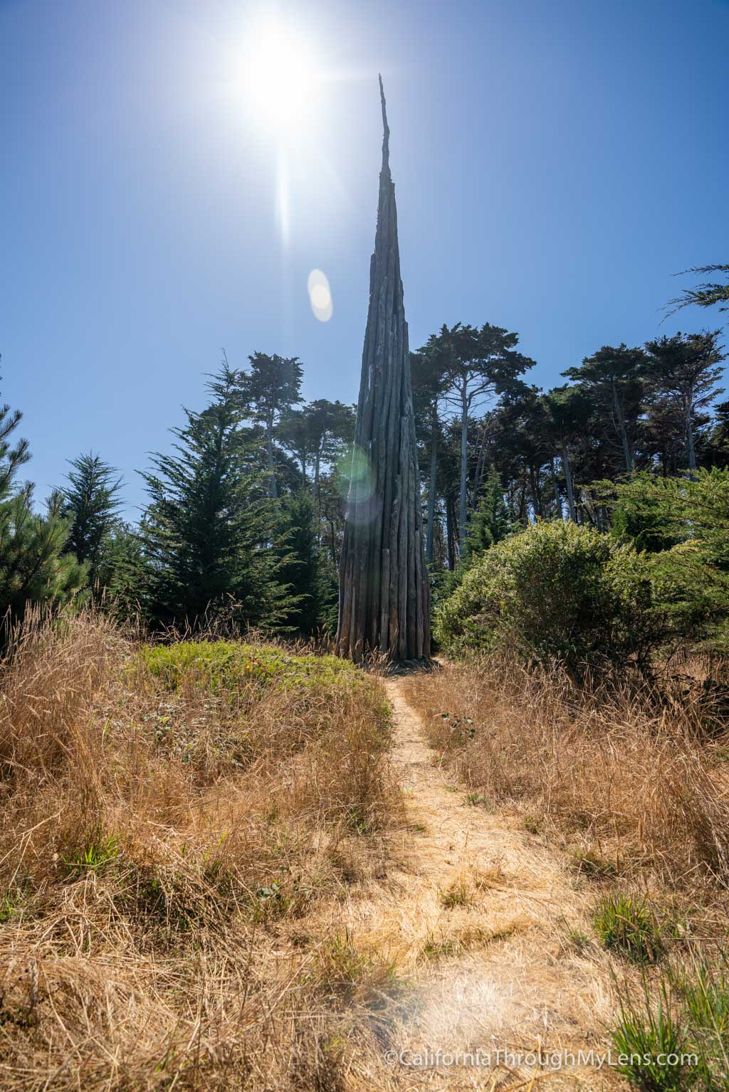 Visiting Andy Goldsworthy’s Art Pieces at the Presidio in San Francisco ...
