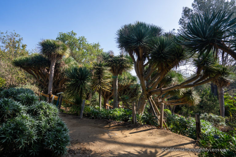 San Diego Botanic Garden in Encinitas - California Through My Lens