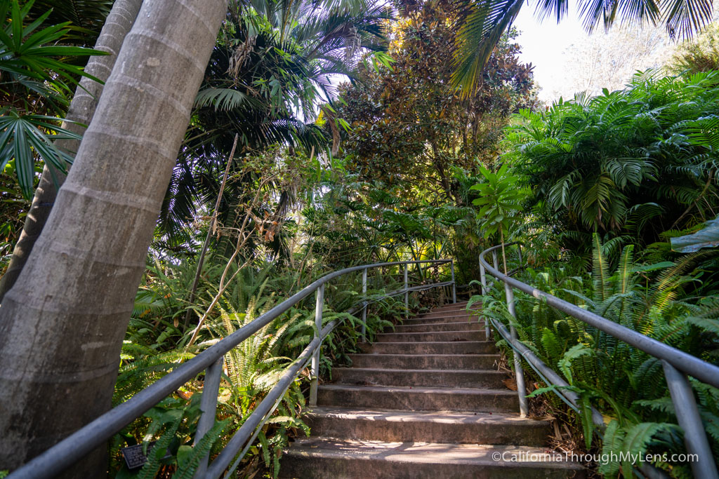 San Diego Botanic Garden in Encinitas - California Through My Lens