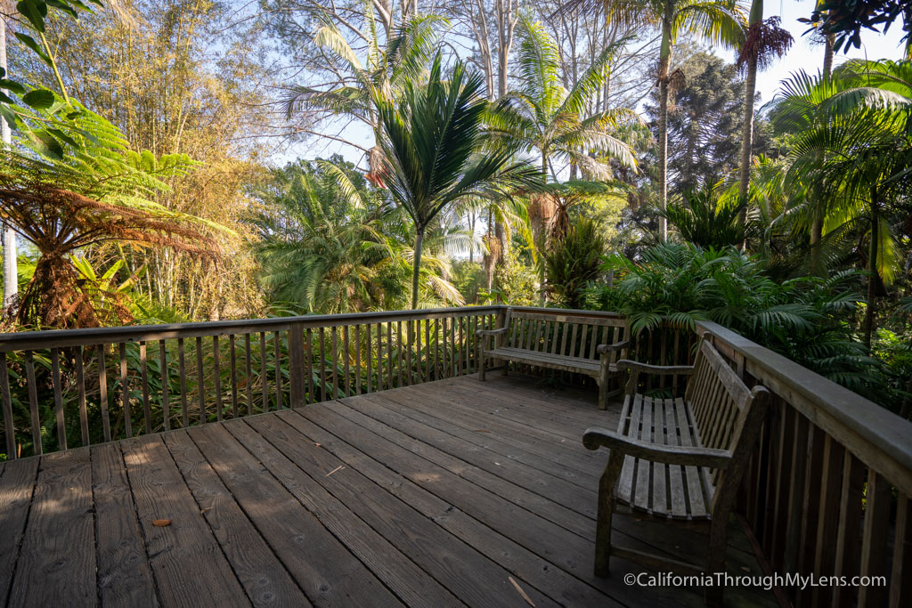 San Diego Botanic Garden in Encinitas - California Through My Lens