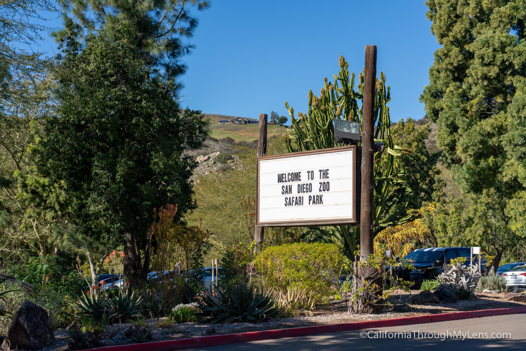 San Diego Zoo Safari Park in Escondido - California Through My Lens