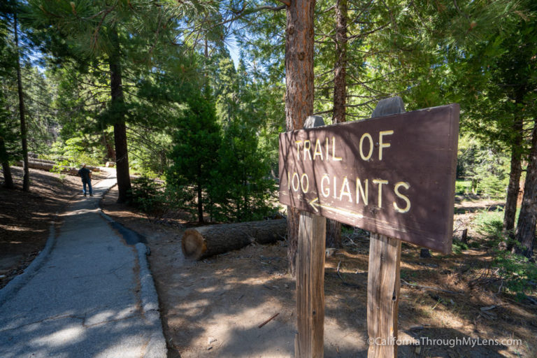 Trail of 100 Giants in Sequoia National Forest - California Through My Lens