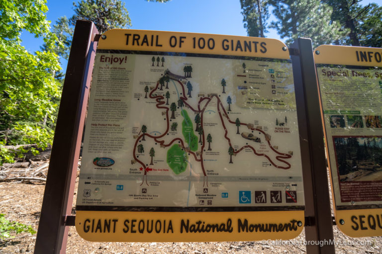 Trail of 100 Giants in Sequoia National Forest - California Through My Lens