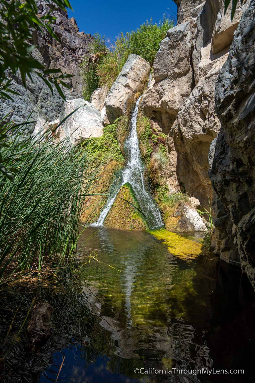 Darwin Falls: Hiking to Death Valley National Park's Waterfall ...