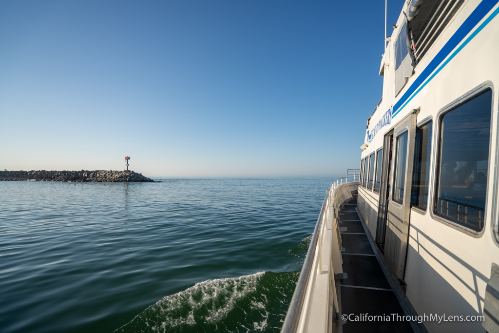 Santa Rosa Island Day Trip: Channel Island National Park - California ...